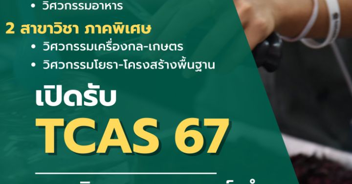 TCAS67 วิศวะกำแพงแสน 7 สาขาวิชา | Dek-D.com