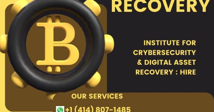 HIRE A BITCOIN HACKER TO RECOVER LOST BITCOIN WALLET-CONTACT RAPID DIGITAL RECOVERY | Dek-D.com
