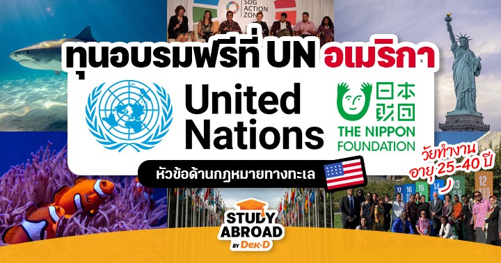 บินลัดฟ้าไปอเมริกา! ‘UN Nippon Foundation Fellowship’ ทุนฟรีอบรมด้าน ...