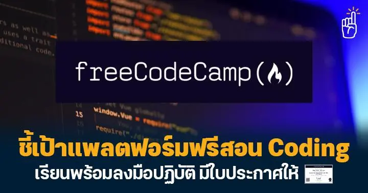 'freeCodeCamp.org' แพลตฟอร์มฟรีสอนเขียนโค้ด มีใบประกาศฯ เฉพาะทางให้ ...