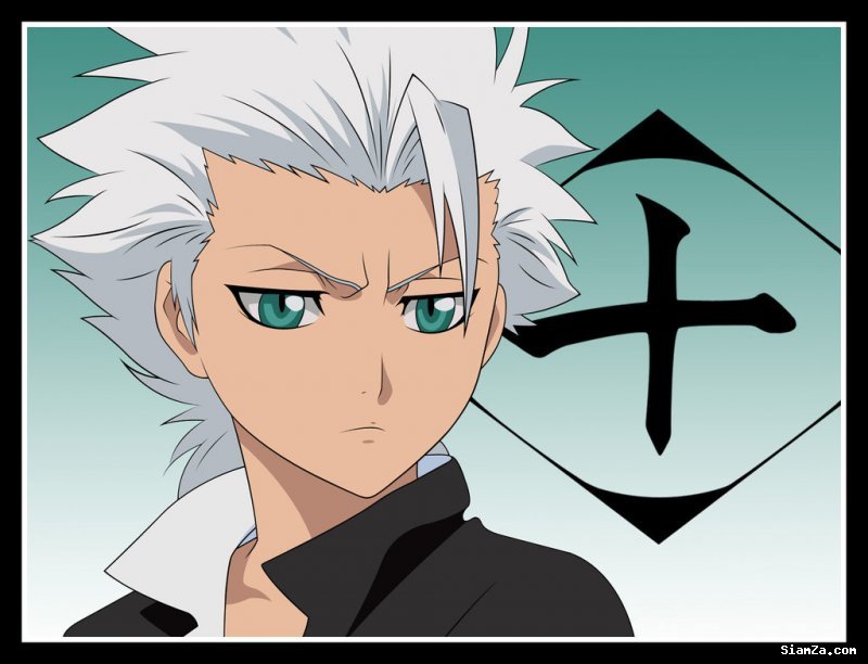 Bleach ฮิสึกายะ โทชิโร่ Hitsugaya Tochiro บทนำ โดย [K.S.] ( ควิซทายใจ ...