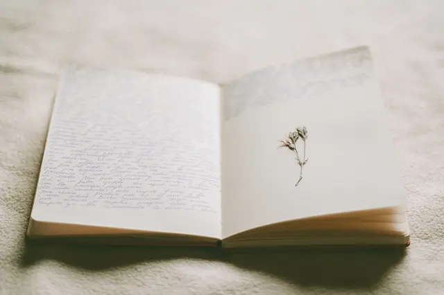 นิยาย Bookshelves by cony-cooter : Dek-D.com - Writer