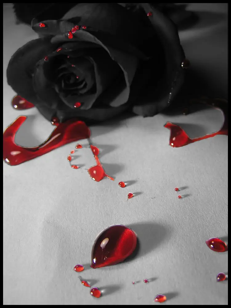 นิยาย [Fic KNB] BLOOD TEAR [Akakuro][จบแล้ว] > ลำดับตอนที่ #10 : BLOOD ...