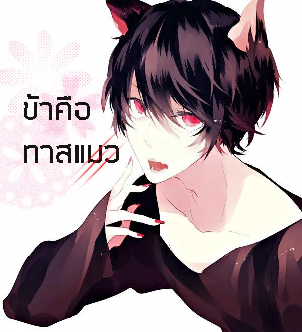 นิยาย CAT'TOY ข้าคือทาสแมว! [BL/Yaoi] : Dek-D.com - Writer