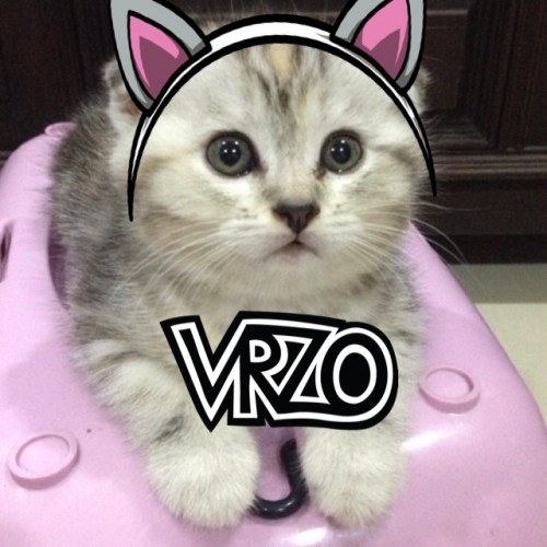 คุนเป็นคนไหนใน VRZO lovey pet โดย marcogamer ( ควิซทางเลือก ) | Dek-D.com