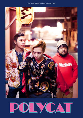 คุณรู้จัก polycat ดีแค่ไหน ? โดย iamnerdd ( ควิซทดสอบ ) | Dek-D.com