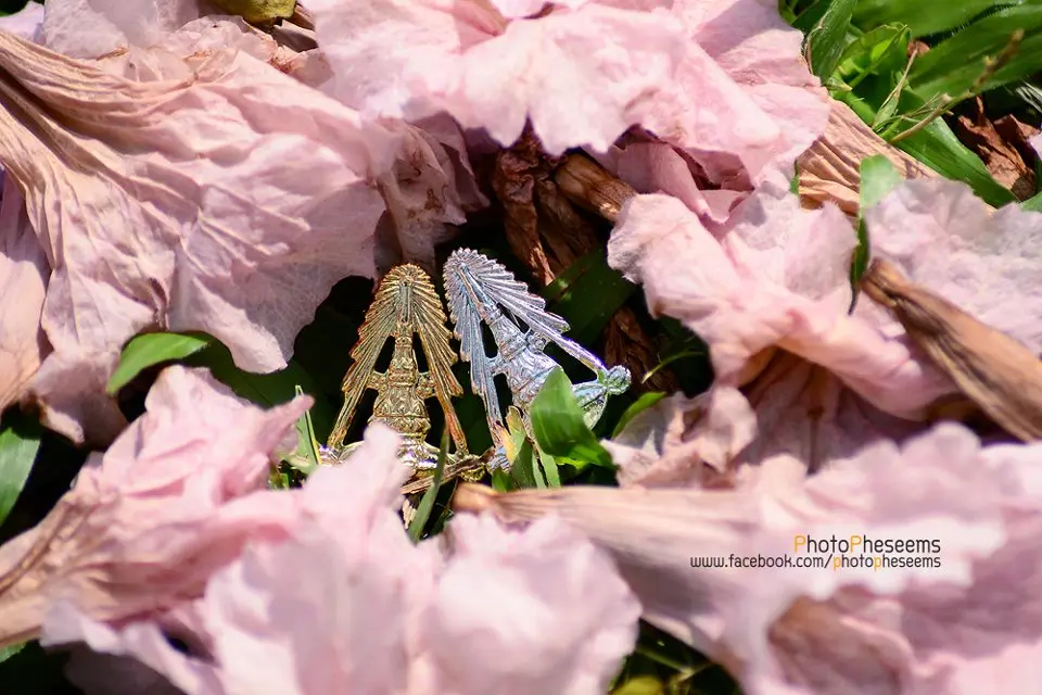 นิยาย ความฝันสอบเตรียมจากTU79ถึงรุ่นต่อๆไป : Dek-D.com - Writer